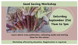 Seed Saving Workshop – Bruce Botanical Food Gardens – Rural Gardens of Grey and Bruce Counties